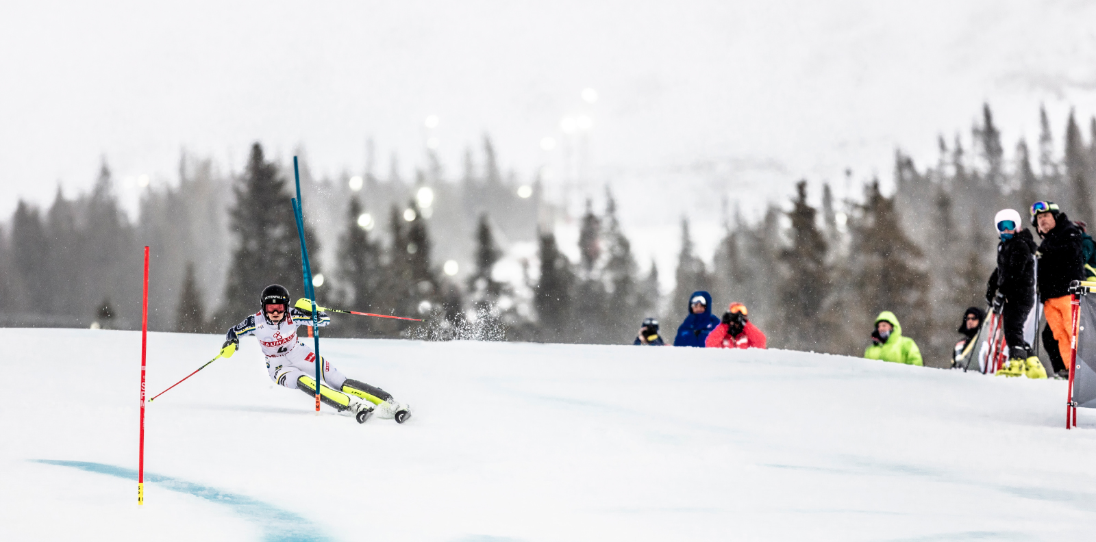 ALPINE RACING | FULLMARKS